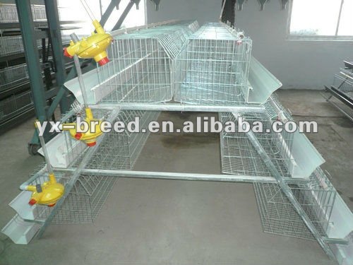 Pvc Pipe/trough Chicken Cages For Sale - Buy Africa Chicken Farms ...