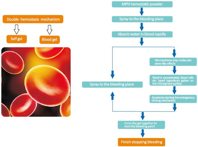 Absorbable Chitosan Hemostatic Particles Quickclot Stanch Powder Stop ...