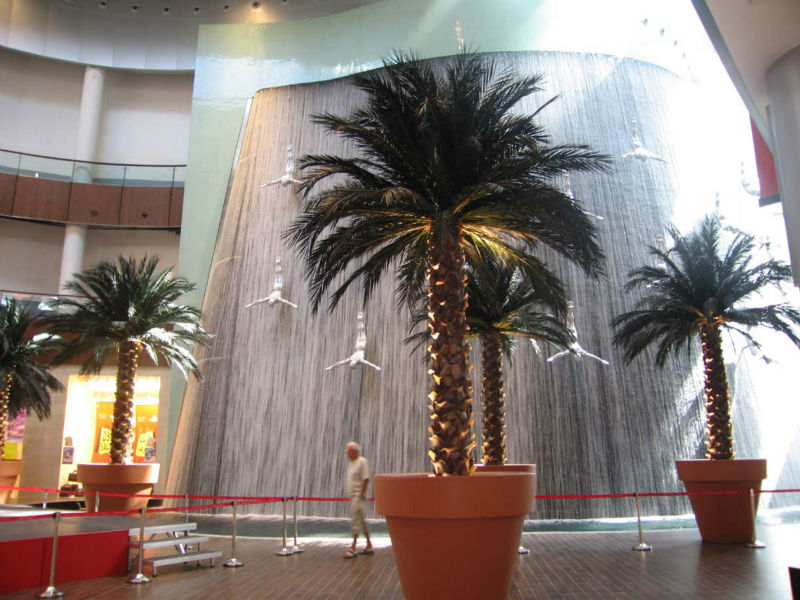 Decor Indoor Preserved Date Palm Trees - Buy Decor Indoor Preserved ...