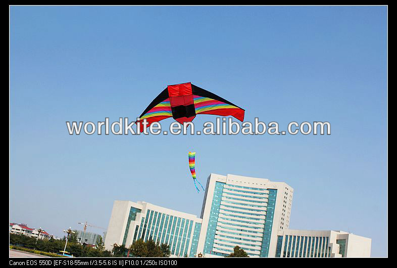 3d Glider Airplane Kite - Buy Airplane Kite,Airplane Kite,Airplane Kite ...