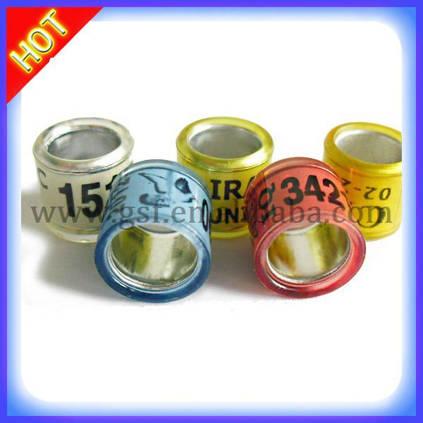 2016 Hot Beautiful White,Blue,Yellow...france,Taiwan,Gb,Ksa..pigeon ...