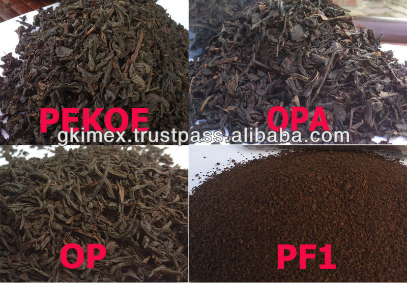 Op Green Tea - Ship In Bulk As Sample - Buy Op Green Tea,Bulk Tea,Tea ...