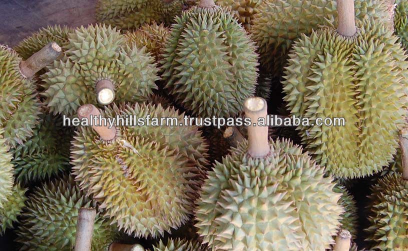 Premium Fresh Durian / Frozen Durians Thailand Monthong - Buy Fresh ...