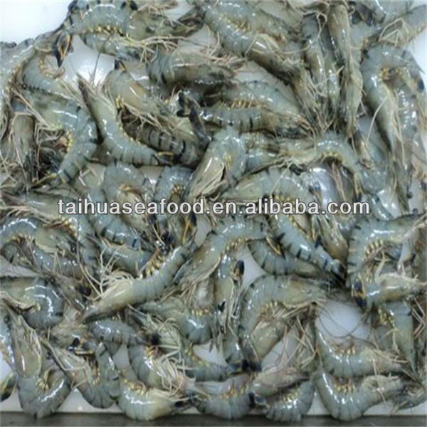 Frozen Fresh Prawn Pink - Buy Prawn Pink,Iqf Prawn Pink,Sea Iqf Prawn ...
